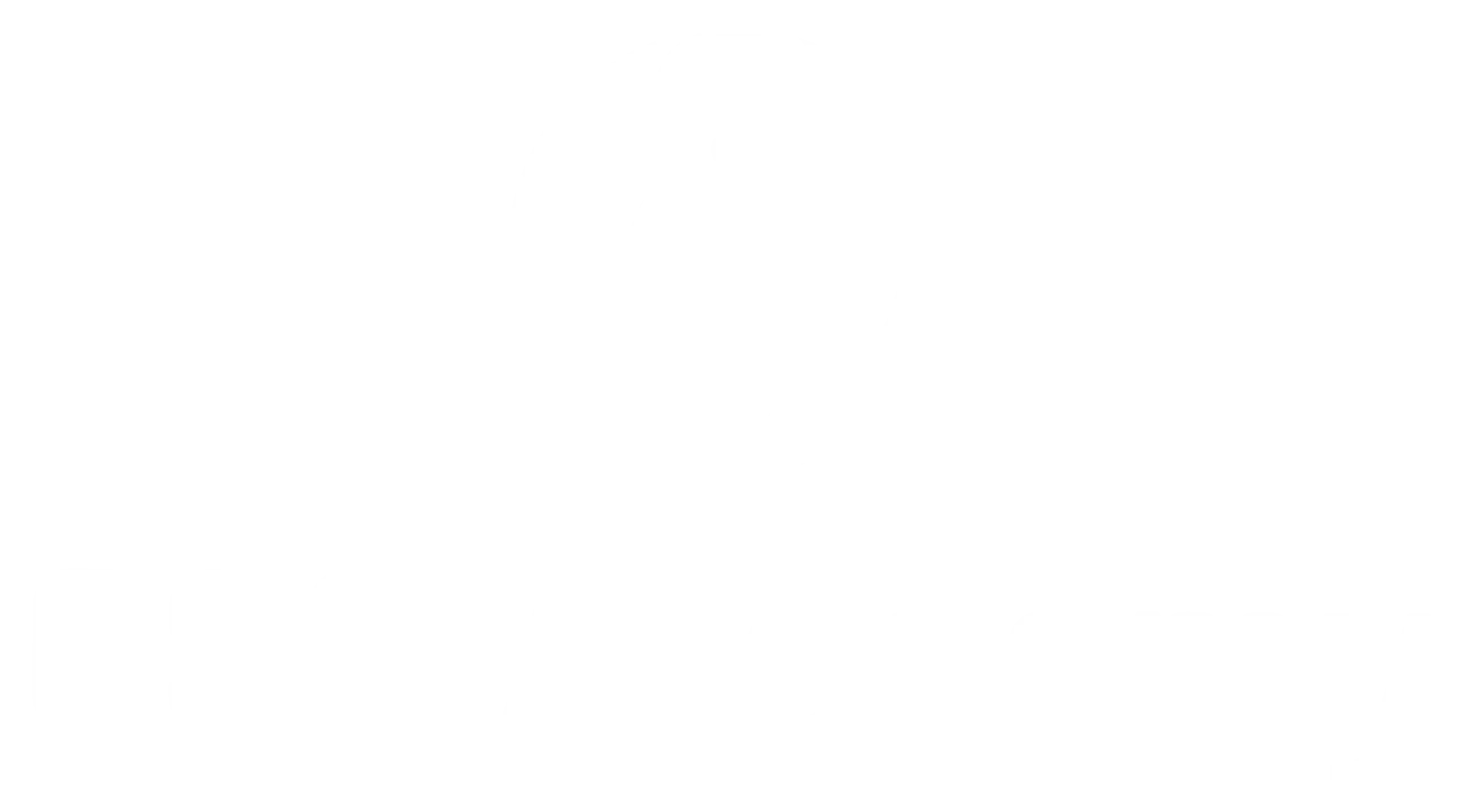 CSO Academy
